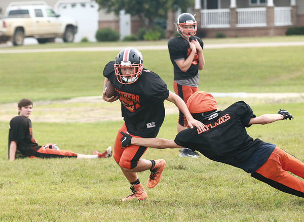 Rugby football leaning on young talent to continue winning culture ...